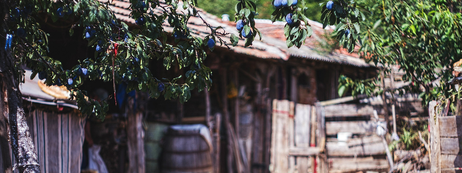 Farm To Table Bulgaria | Konna Baza Sakar